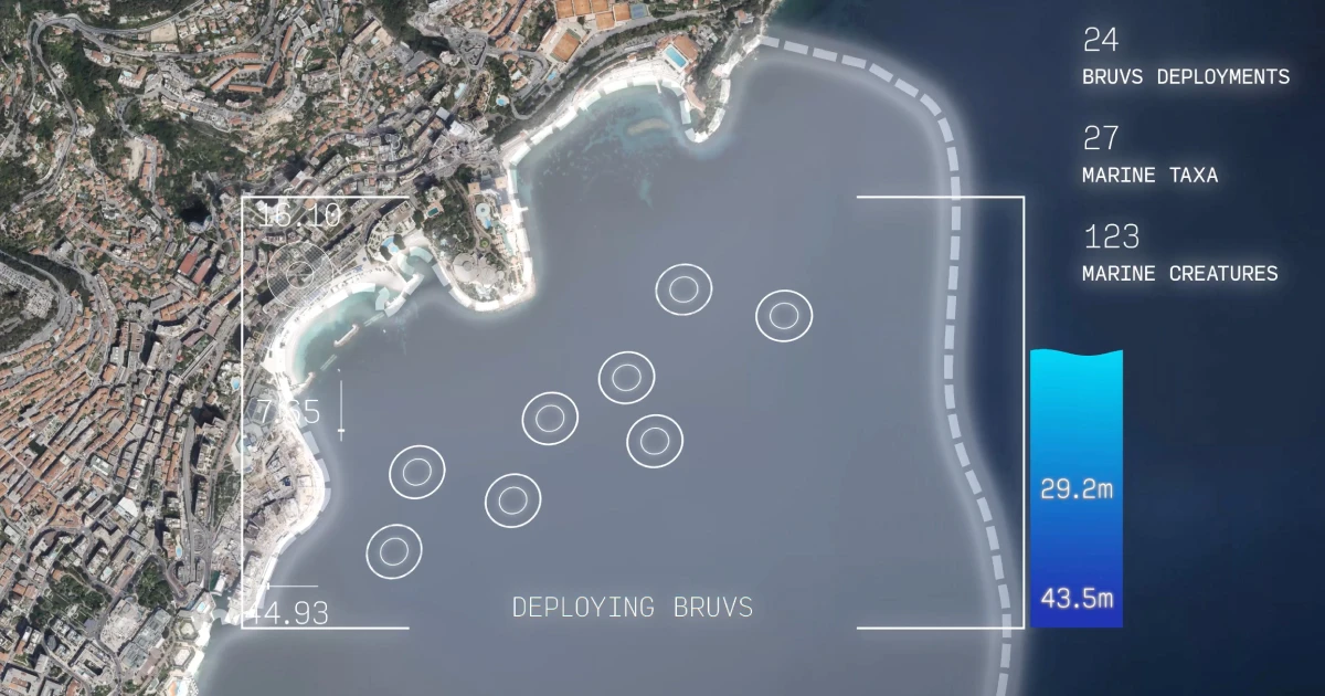 BRUVS Monaco | Community Jameel