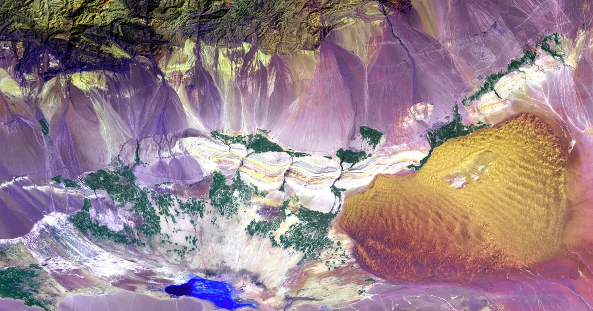 News | Community Jameel